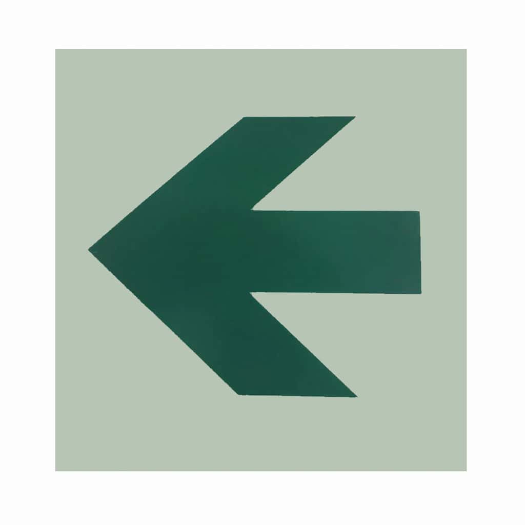 DAS - Photoluminescent Directional Sign - Safe-T-Nose